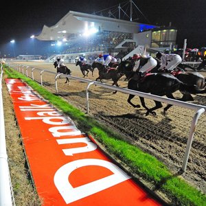 How Ireland's all-weather track has proved its value time and again ...