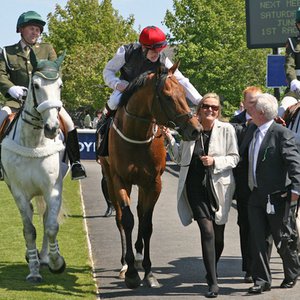 All eyes on Free Eagle as Moyglare Stud looks to build on Haefner's ...