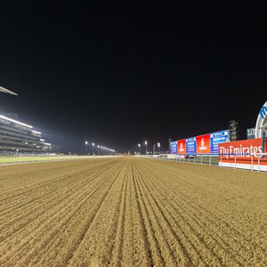 Rich pickings go begging on the Dubai dirt as US trainer is forced to ...
