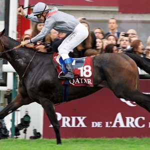 Treve centre stage once more as the big Arc contenders flex their ...