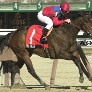 Why 'beast of all beasts' Xtra Heat so deserves her Hall of Fame ...