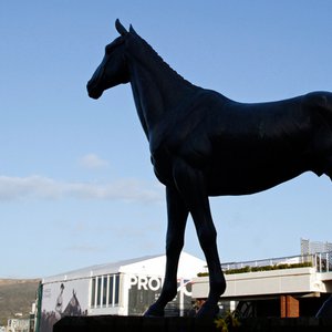 How TV, sponsors, and mighty Arkle made jumping a real force | Topics ...