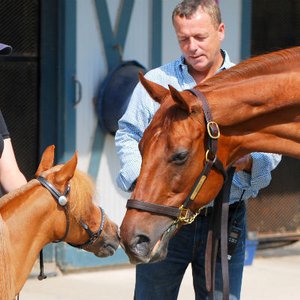 Remembering a fallen star – relive a visit to Funny Cide, still cranky ...