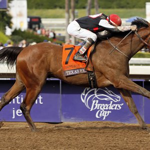 Jim Dandy next as Texas Red's return gathers pace - then watch out ...