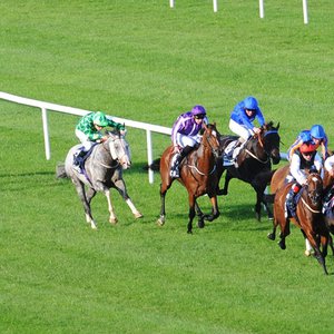 Why the Breeders' Cup looks the smart target for Gosden's Derby hero ...