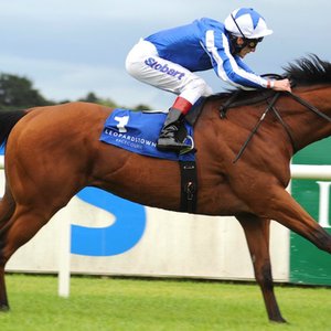 Dubai World Cup: Akeed Mofeed's Irish career | Topics: John Oxx, Akeed ...