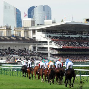 The key first steps to a successful racecourse development | Topics ...