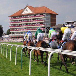 Why the owner experience at York should become an industry model ...