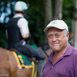 Over jumps and on the flat, trainer Jonathan Sheppard is in a league of ...
