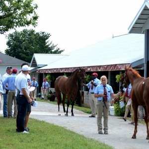 A principled approach spells success for Taylor Made | Topics: Taylor ...