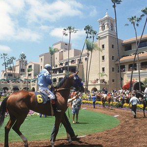 Del Mar Racetrack Profile: A great place to relax | Topics: Pacific ...