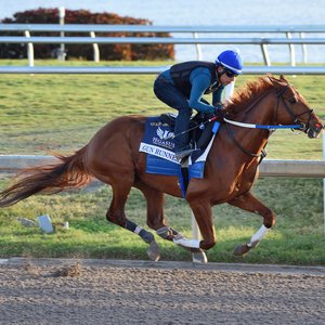 Smooth Gun Runner turns in his last timed workout | Topics: Pegasus ...