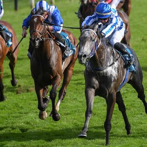 Secretariat silks back in the winner’s enclosure – for South African ...