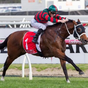 The colt set to fill in for Winx at Royal Ascot: they’d better watch ...