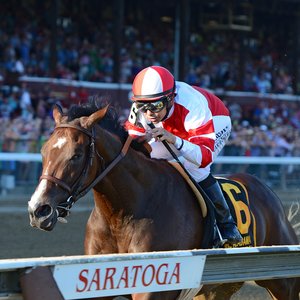 U.S. Horse of the Year: dissecting the key criteria | Topics: Horse ...