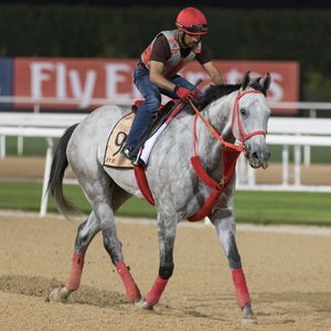 What’s been happening in the racing industry around the world | Topics ...