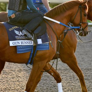 The man who’s been part of the Gun Runner story from before the ...