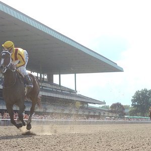 Why have fillies become faster when colts have not? | Topics: Rachel ...