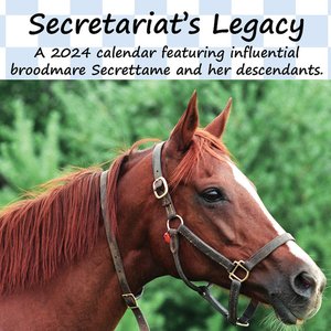 Fund-raising calendar for 2024 honors Secretariat’s daughter Secrettame ...