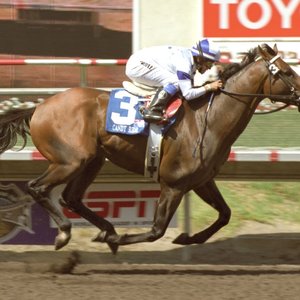 Shooting star with a personal impact: ‘You never forget a horse like ...