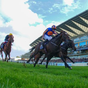 This marvellous horse race needs to be a G1 - there’s much at stake ...