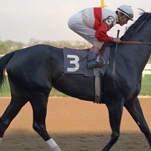 Ruffian goes home: NYRA relocates great filly’s remains to Claiborne ...
