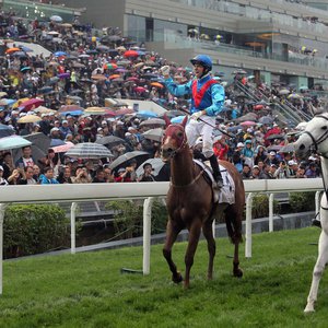 When do you ever get a stronger gathering of elite jockeys? | Topics ...