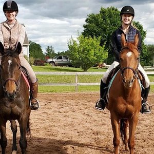 NYRA on-air host Acacia Clement a champion for Thoroughbred aftercare ...