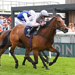 Box To Box has eyes on prize as Bahrain Turf Series reaches finale ...