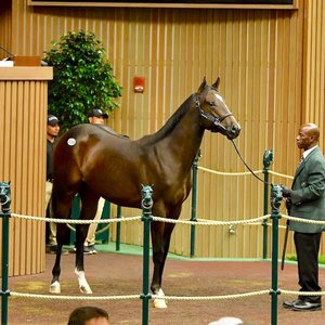 What’s been happening in the racing industry around the world | Topics ...