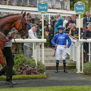 ‘A glorious past, a captivating present, a dynamic future’ – spotlight ...