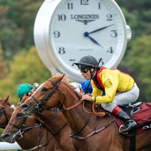 Germany’s Arc hero Torquator Tasso set for G2 return later this month ...