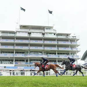 Epsom Derby: ‘It’s the defining race of the season’ – Gosden team strut ...