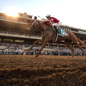 How Gun Runner transformed from sparring partner to champion | Topics ...