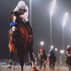 Well Armed: ‘This horse, what he’s meant to us in so many ways, it’s ...