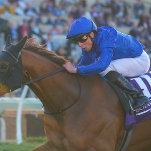 Breeders’ Cup winner Yibir returns to US for Man o’War | Topics ...