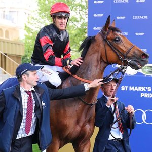 Heightened international interest offers cause for optimism ahead of ...