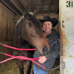 ‘We know she’s no million-dollar mare but for us she’s a superhorse ...