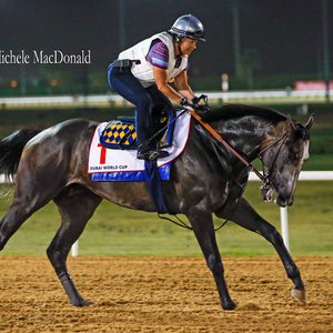 Jim and Dana Barnes: Bob Baffert’s secret weapon | Topics: Dana Barnes ...