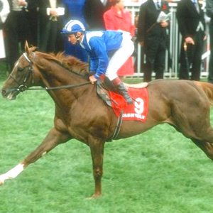 The best ten racehorses owned by Hamdan Al Maktoum | Topics: Taghrooda ...