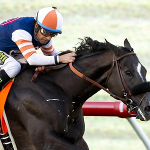 The legend of Little Red Feather just keeps on growing | Topics: Little ...