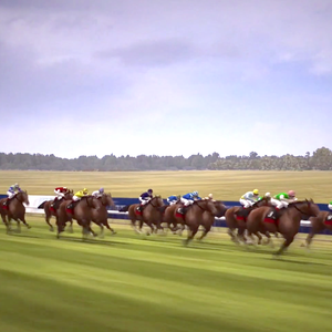 Where you can watch - and bet on - champions racing each other every ...