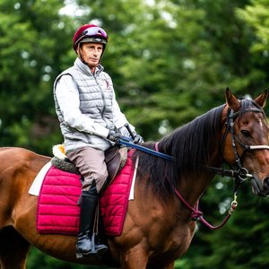 What’s been happening: Gerald Mosse retires, Belmont rematch in Haskell ...