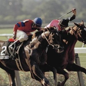 This was the greatest definition of the word ‘race’ horse racing has ...