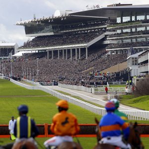 ‘Best race meeting in the world’ – but just what makes the Cheltenham ...