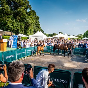 A chance to buy a horse at Kensington Palace - and race it at Royal ...