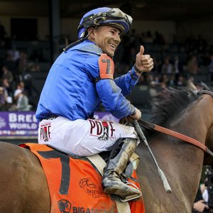 Cody’s Wish plans: Pegasus no-go as Met Mile is targeted | Topics: Cody ...