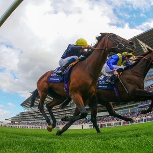 Is this the strongest line-up for any race in the world this year ...