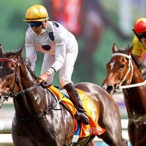 World #1 stays at home: Japanese no-go for Golden Sixty | Topics: TRC ...