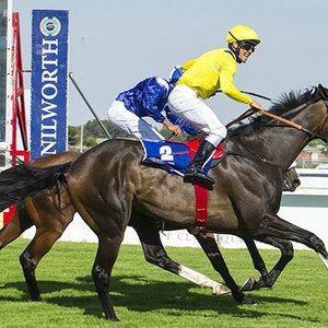 Major double sends dream team soaring up the ranks | Thoroughbred ...